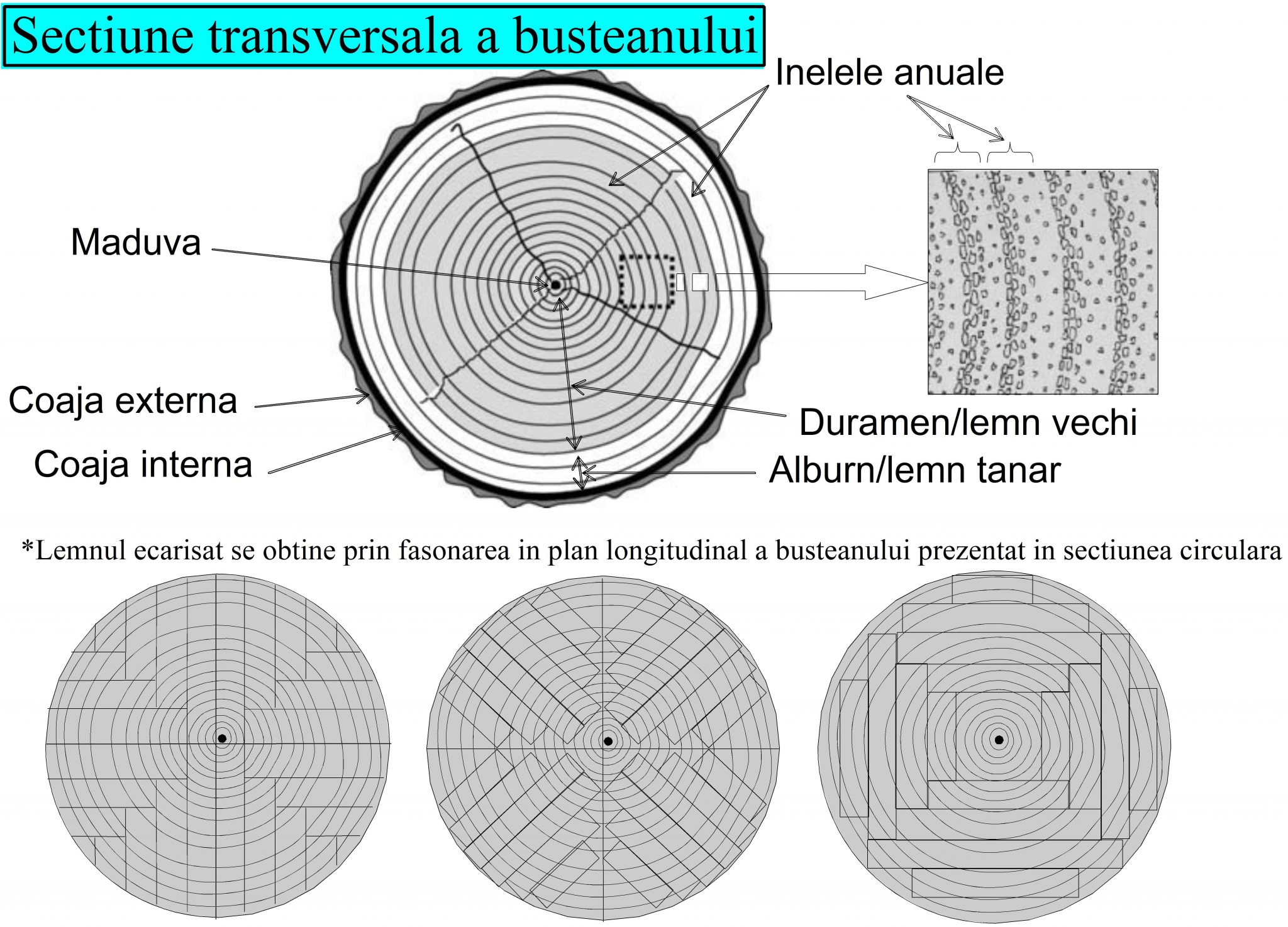 Lemnul lamelar | Structuri ingineresti performante